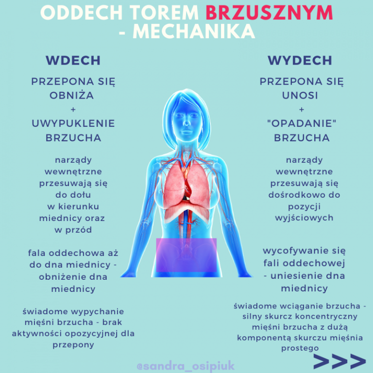 Oddychanie przeponą a oddychanie brzuchem - różnice i kiedy jak ...