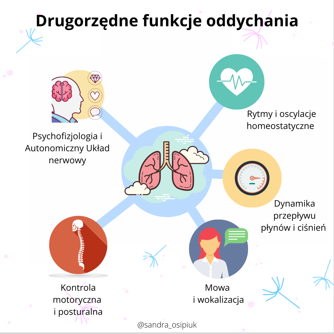 Funkcje oddychania - czyli wielowymiarowe znaczenie oddechu. - Sandra ...